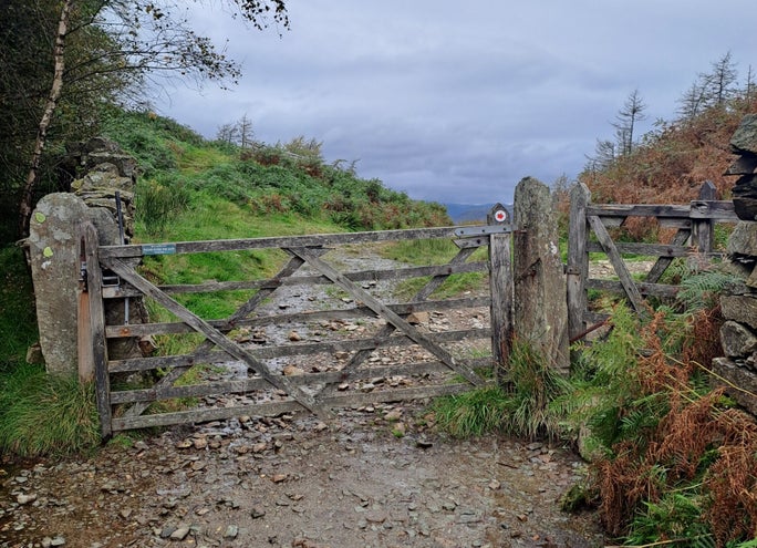 Tarn Hows to Black Crag | Lake District | National Trust