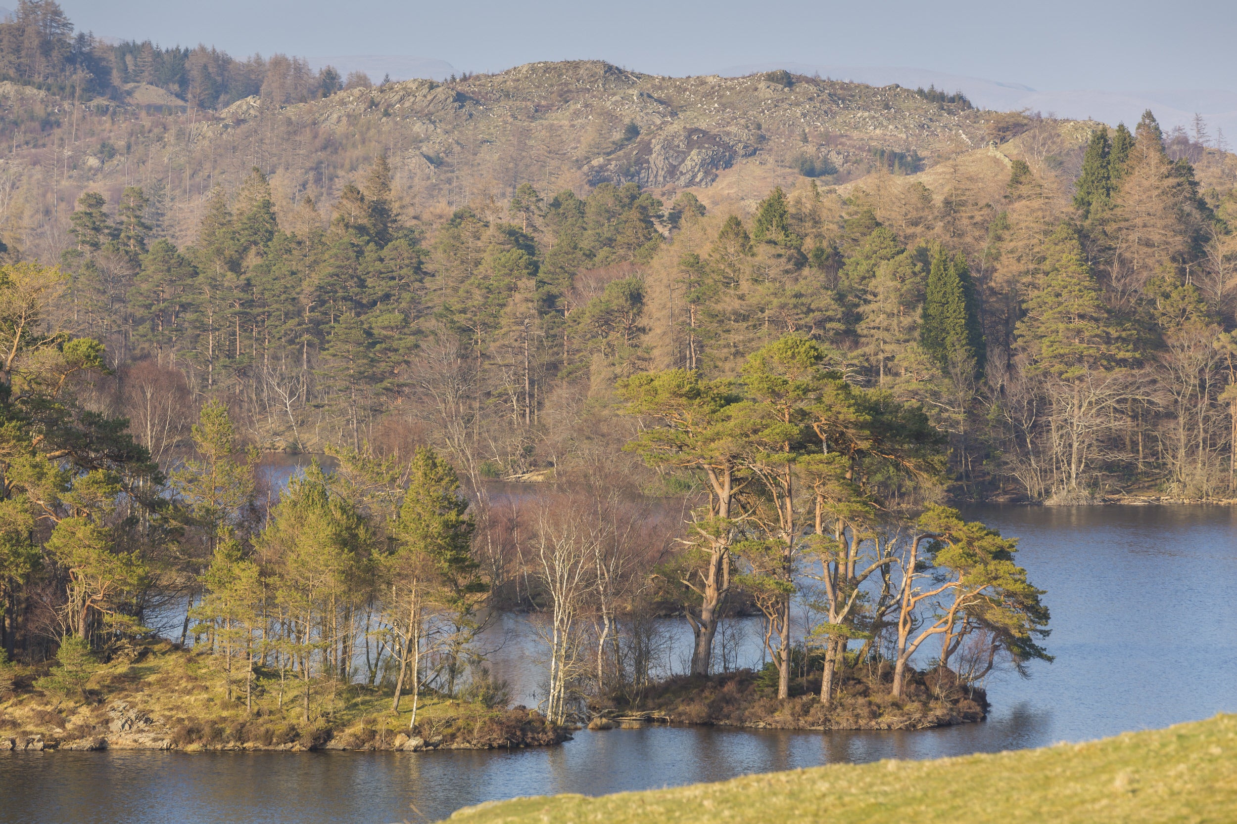 Tarn Hows and Coniston | Lake District | National Trust