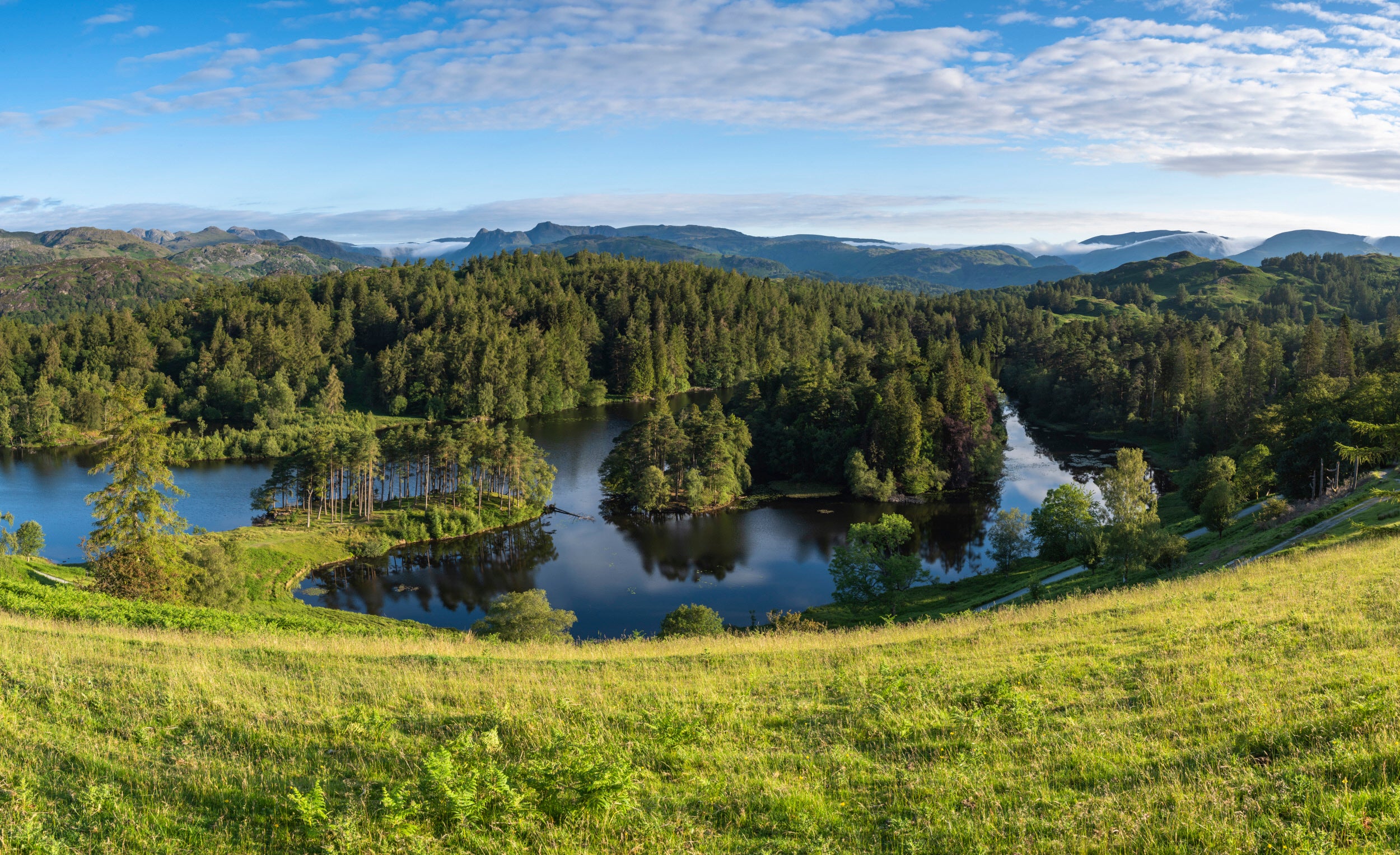 Tarn Hows circular walk | Lake District | National Trust