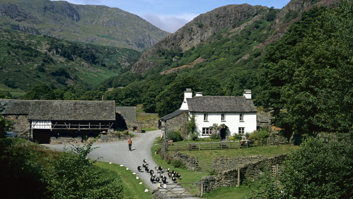 Tom Gill to Tarn Hows walk | Lake District | National Trust