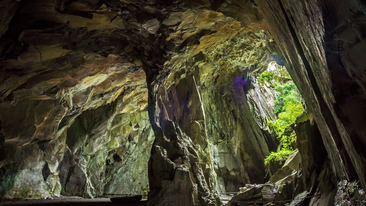 Woodland walk, Cathedral Quarry, Coniston, | National Trust
