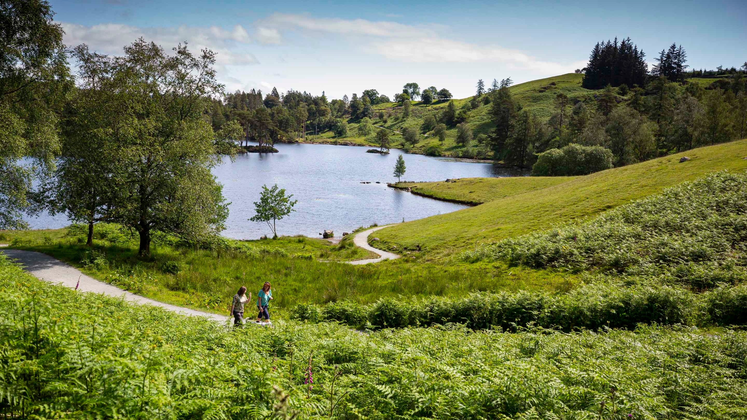 Tarn Hows circular walk | Lake District | National Trust
