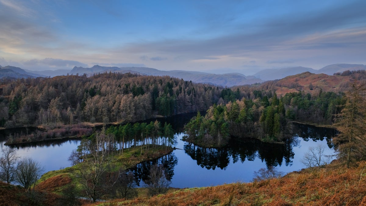 Exploring Tarn Hows & Coniston │ Cumbria | National Trust