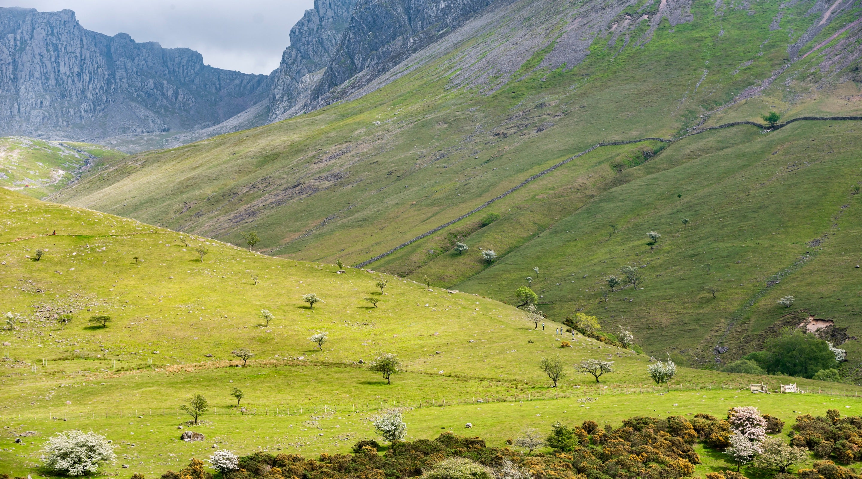 Parking in Wasdale | National Trust