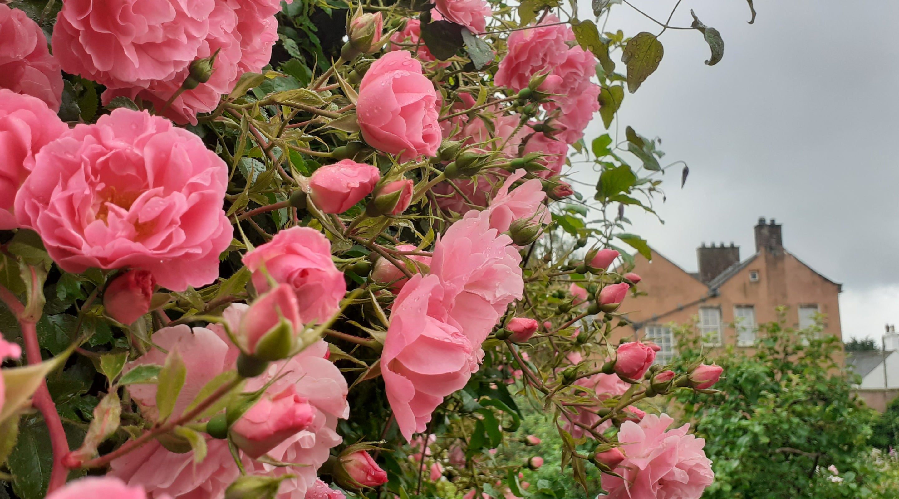 Wordsworth House and Garden | Lake District | National Trust