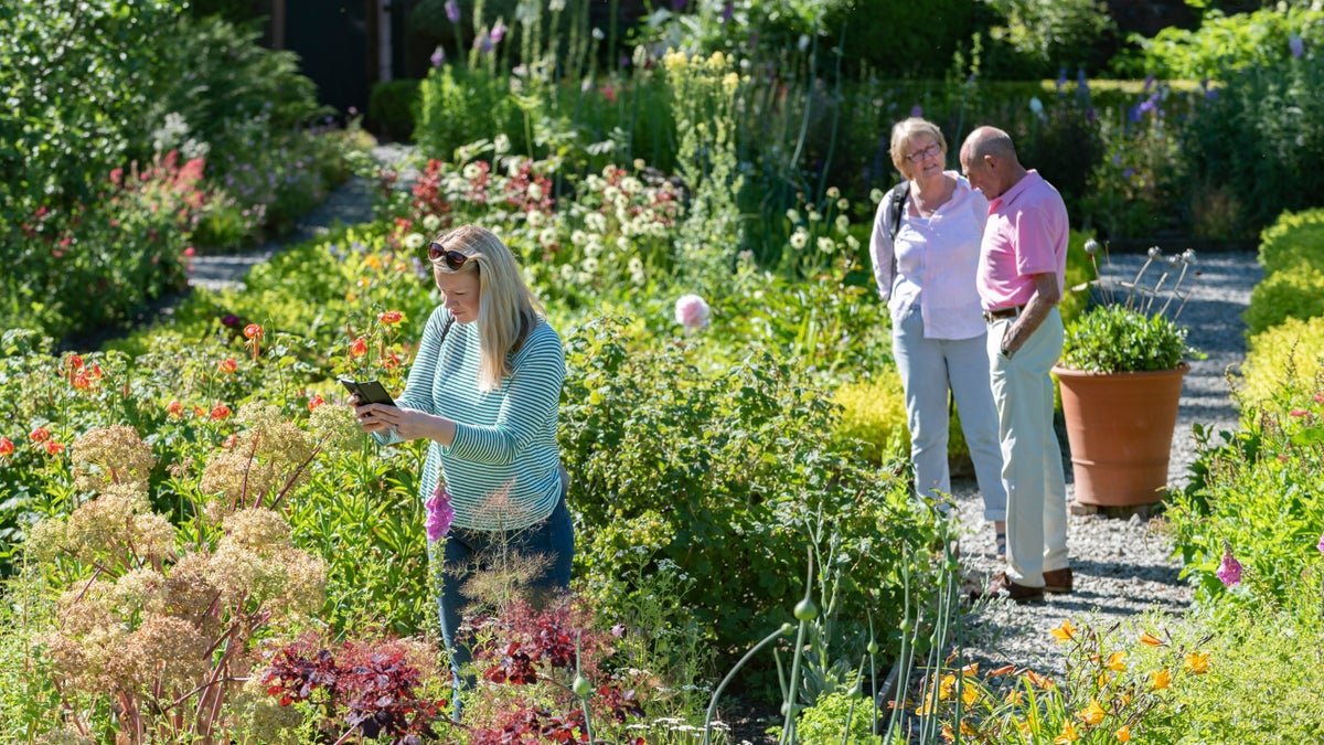 The Garden at Wordsworth house | Cumbria | National Trust