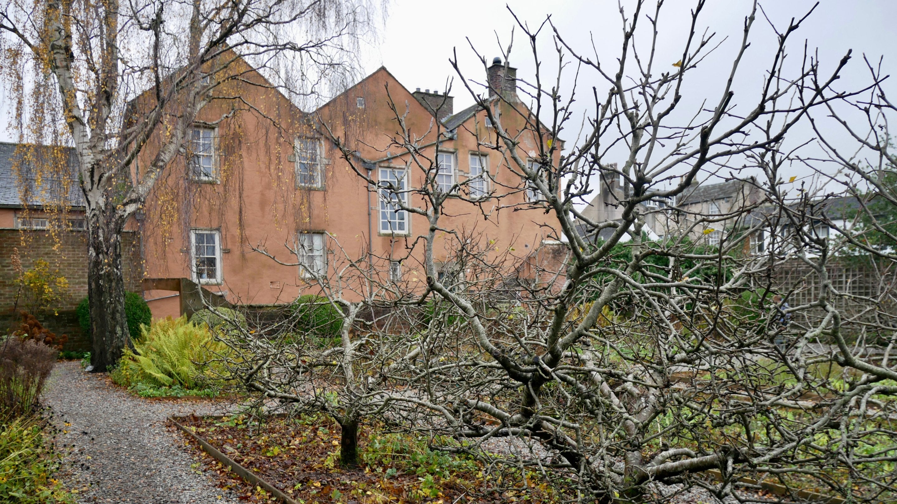 The Garden at Wordsworth house | Cumbria | National Trust