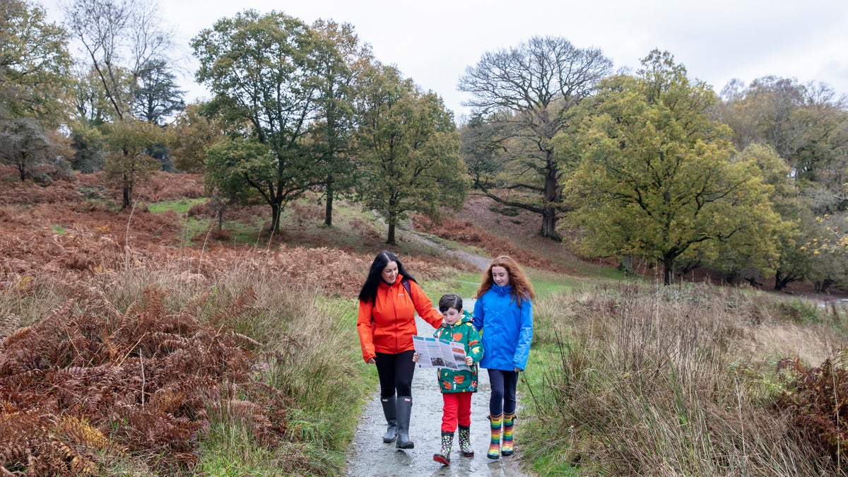 Things to see and do outside at Wray | National Trust