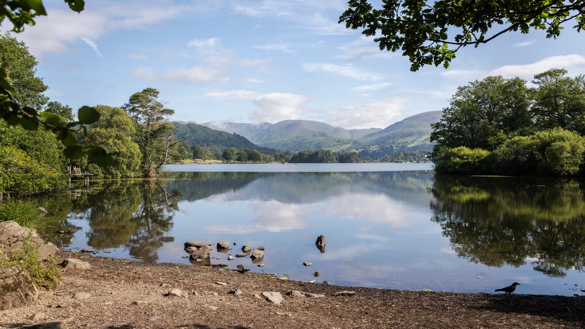 Exploring the grounds at Wray | National Trust