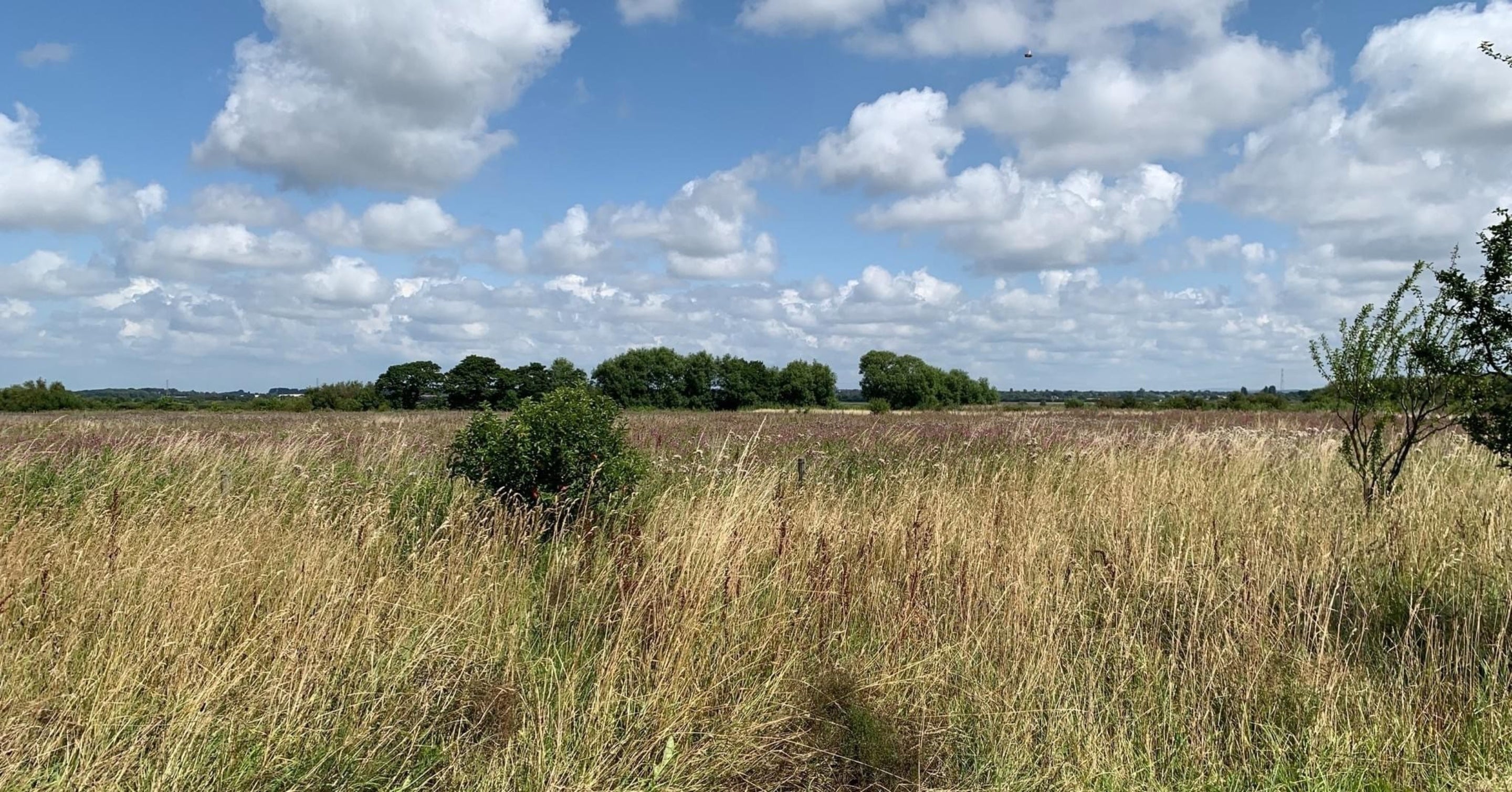 Lunt | Liverpool | National Trust