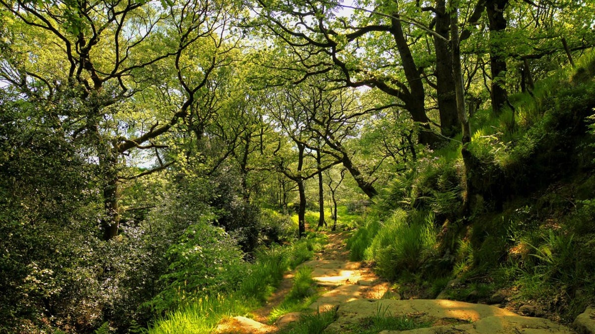 Stubbins Estate walk | Lancashire | National Trust