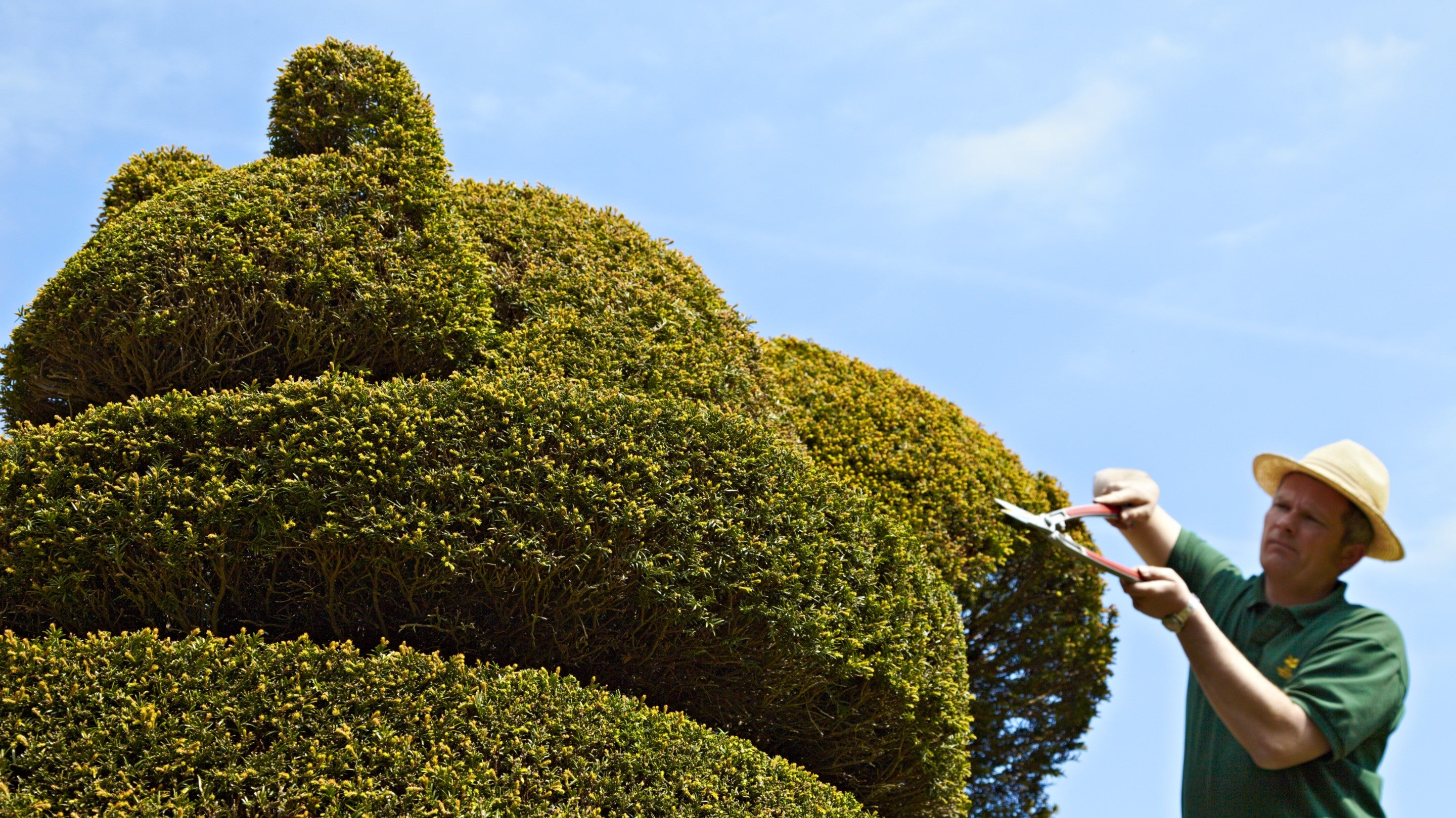Gardens in Liverpool and Lancashire | National Trust