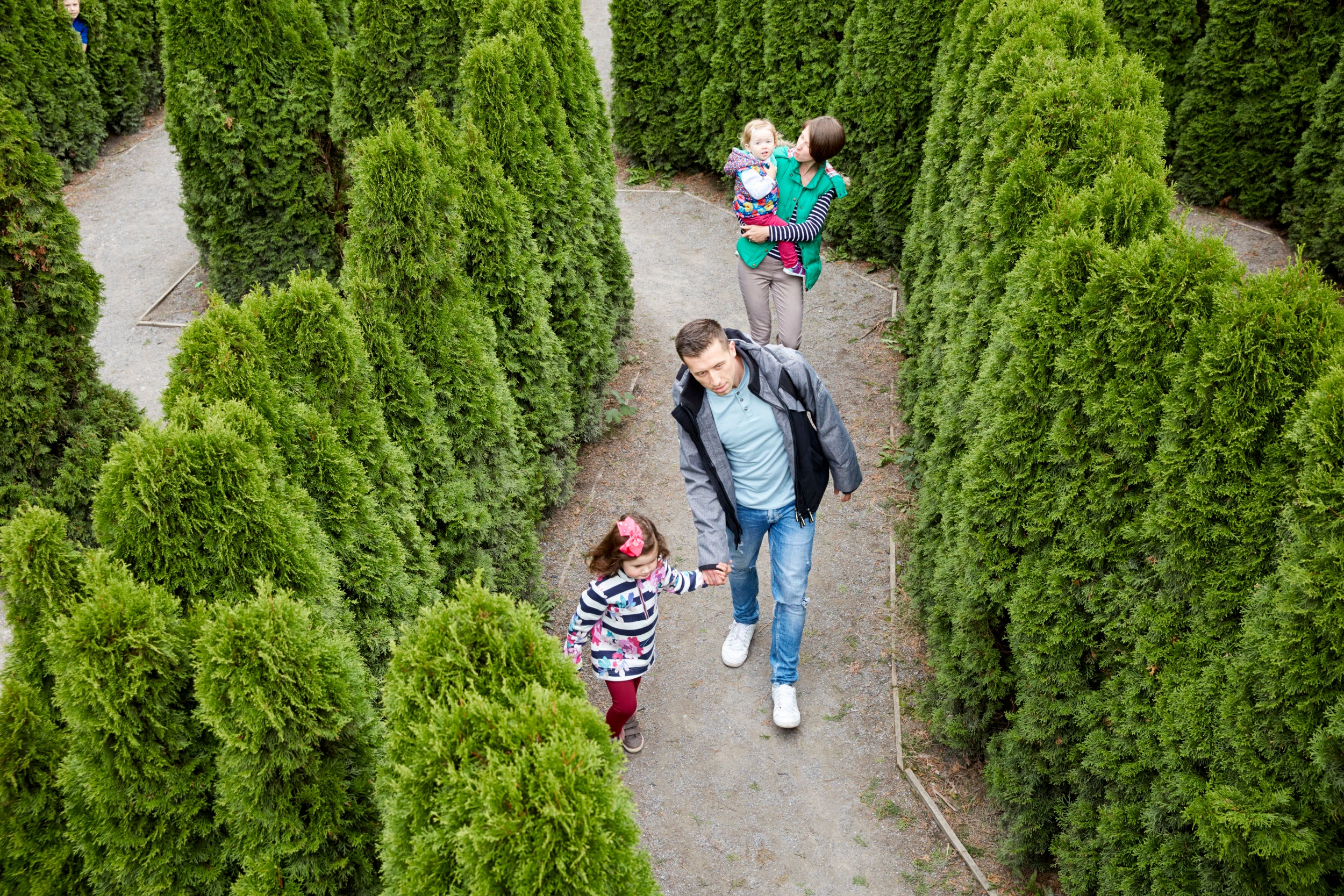 Family friendly Speke Hall | Liverpool | National Trust