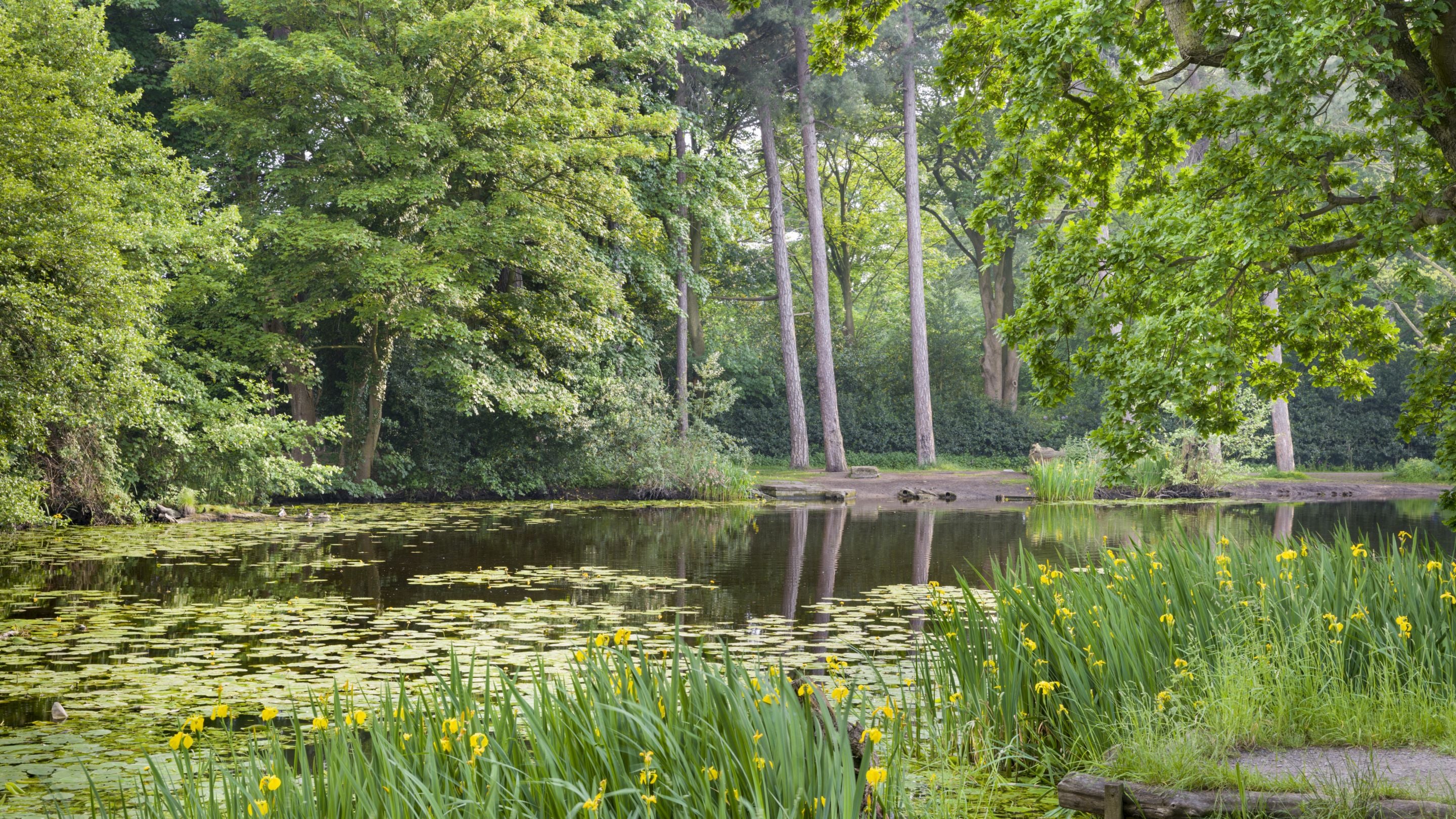 Speke Hall's garden and estate | Liverpool | National Trust