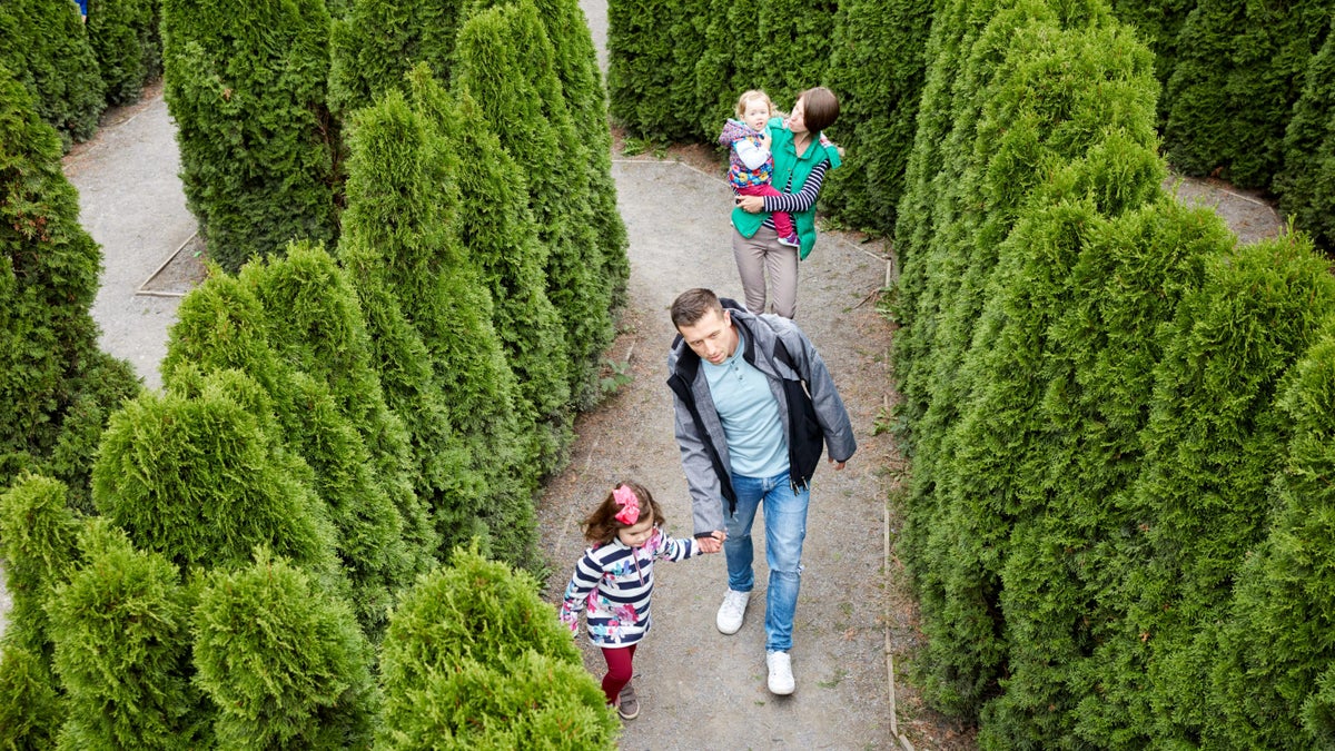 Discover the best mazes in the UK | National Trust
