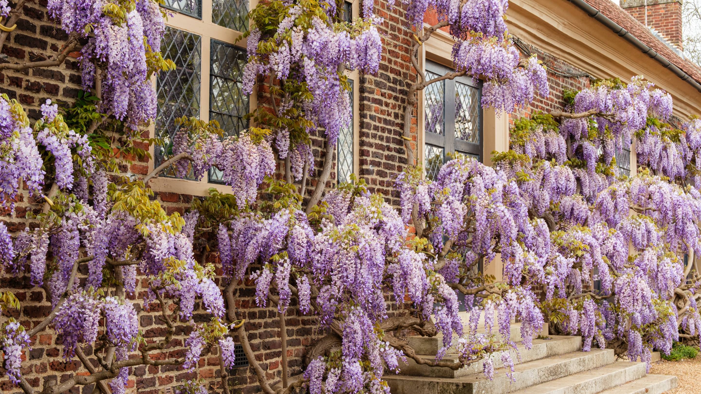 Discover Ham House | London | National Trust