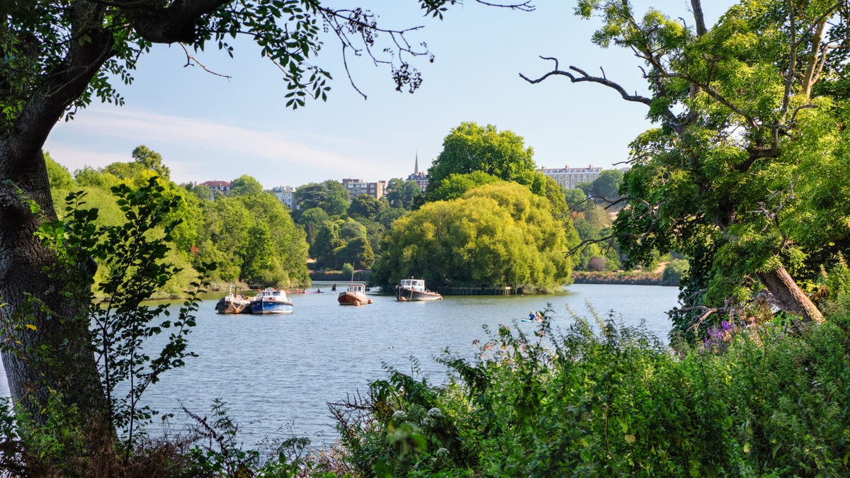 The wider landscape at Ham House | London | National Trust