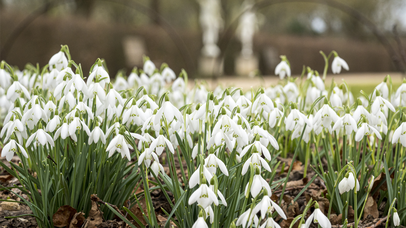 Kingston Station to Ham House walk | London | National Trust
