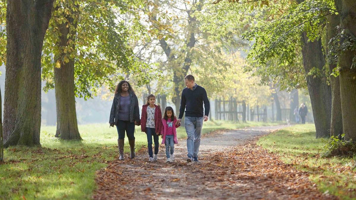 Walking and cycling at Morden Hall Park | National Trust
