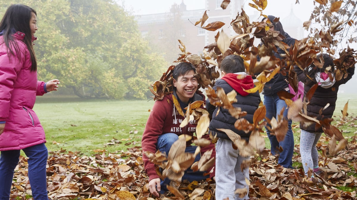 October half term | School holidays | National Trust