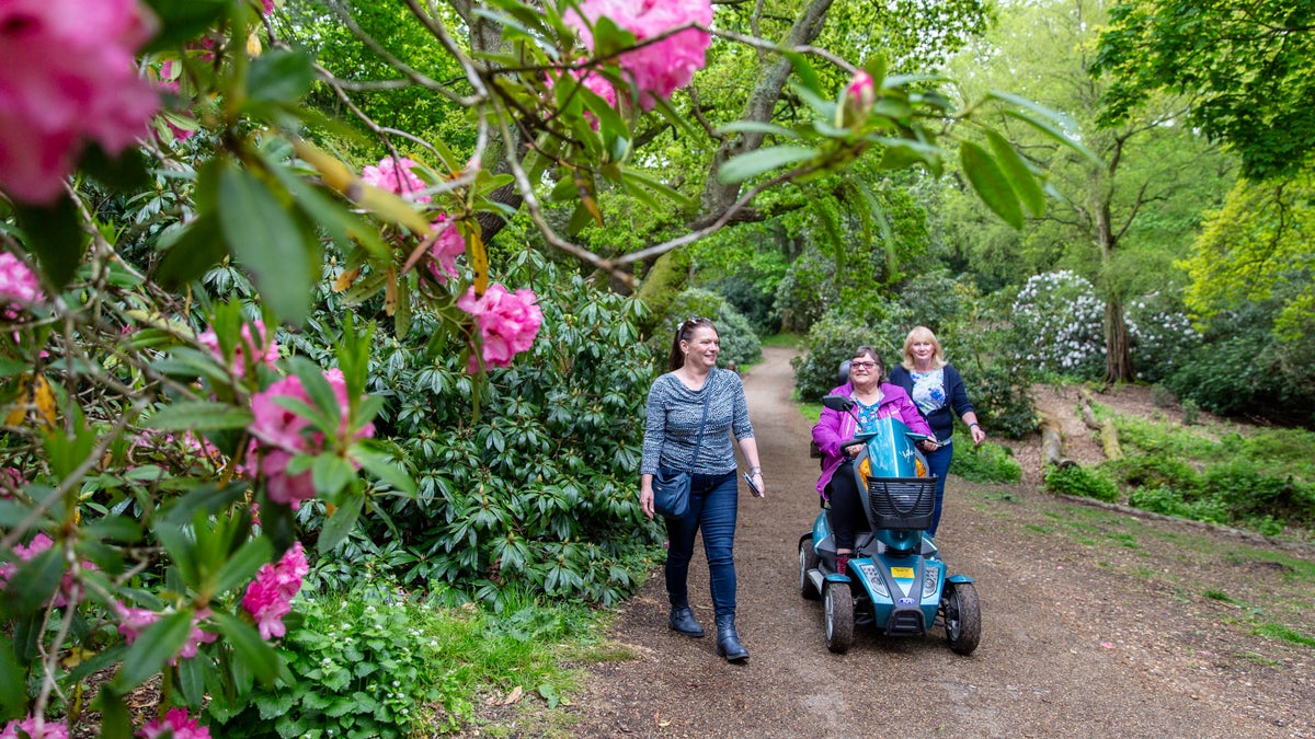 Top walks in Norfolk | National Trust