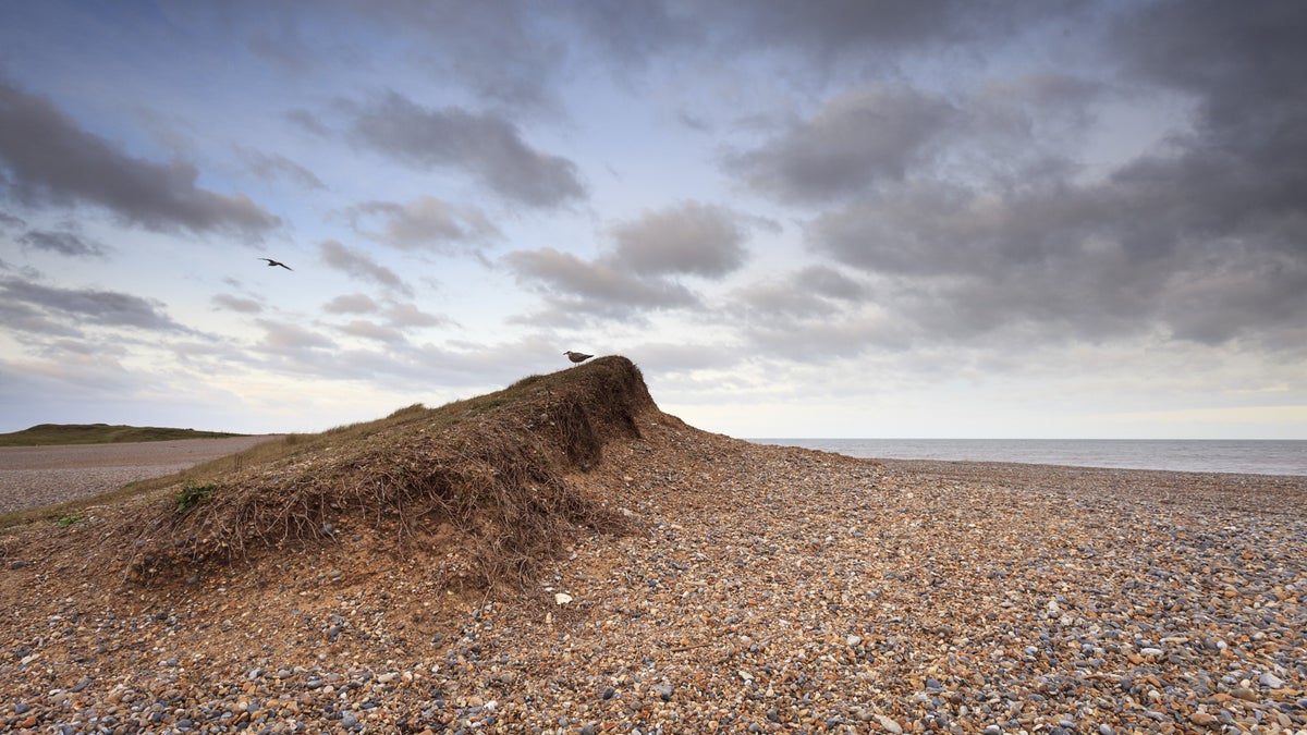 Gramborough Hill Salthouse walk | Norfolk | National Trust