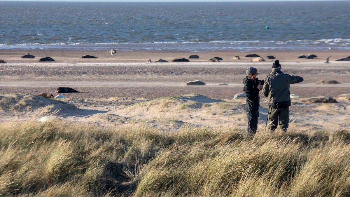 What do our rangers do in the winter? | National Trust