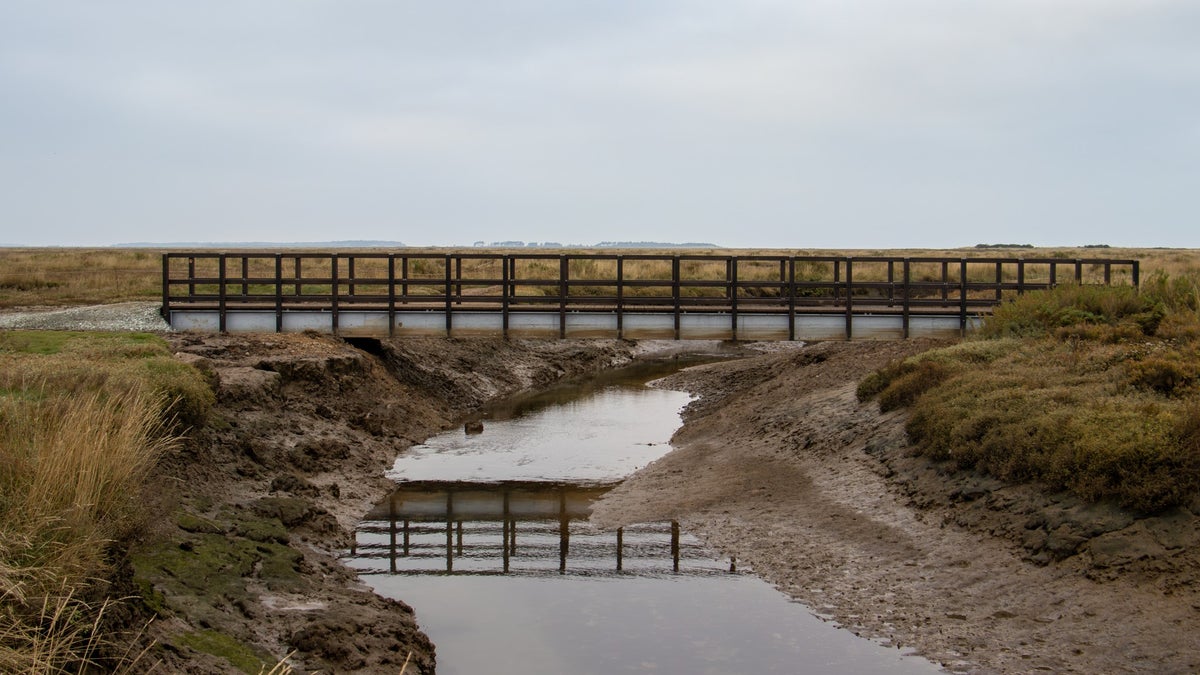 Stiffkey Marshes | Bridge | Norfolk Coast | National Trust
