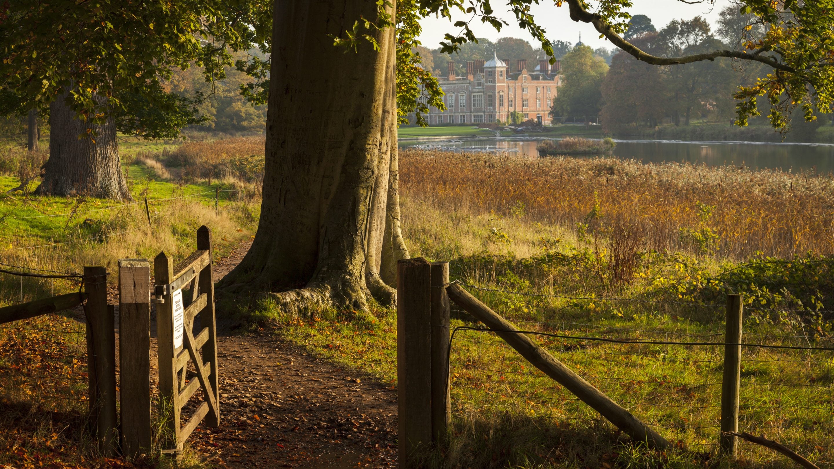 Top walks in Norfolk | National Trust