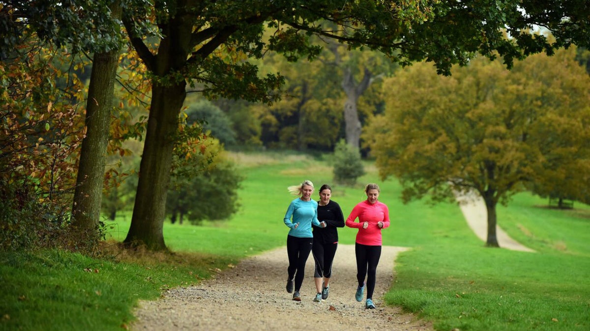 Blickling Ranger Run | Aylsham | Norfolk | National Trust