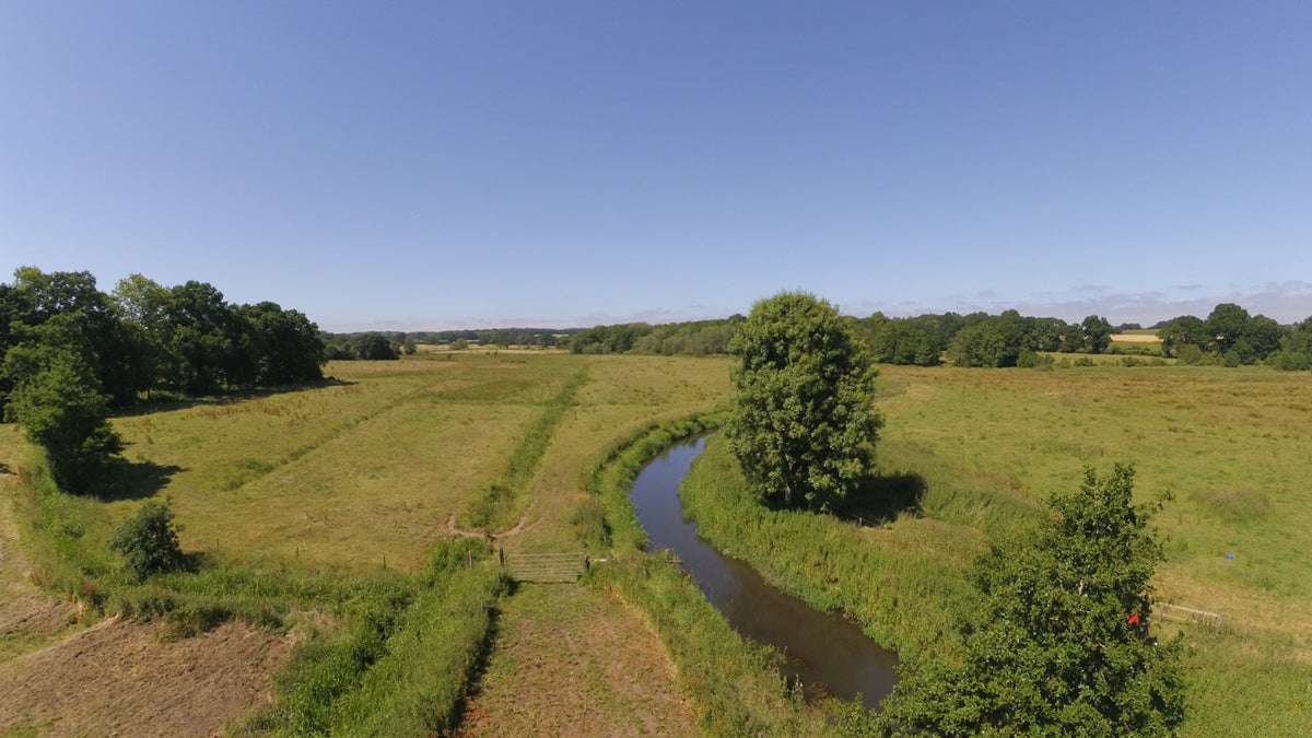 River Bure chalk stream restoration Norfolk | National Trust