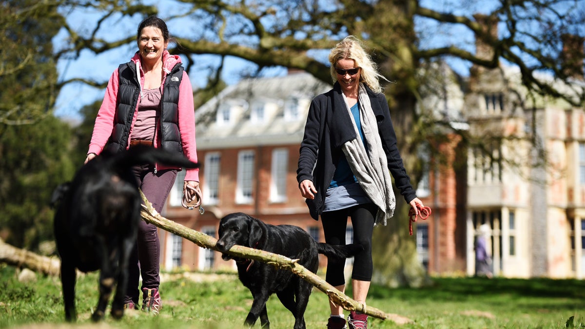 Dog walking at Felbrigg | Norfolk | National Trust