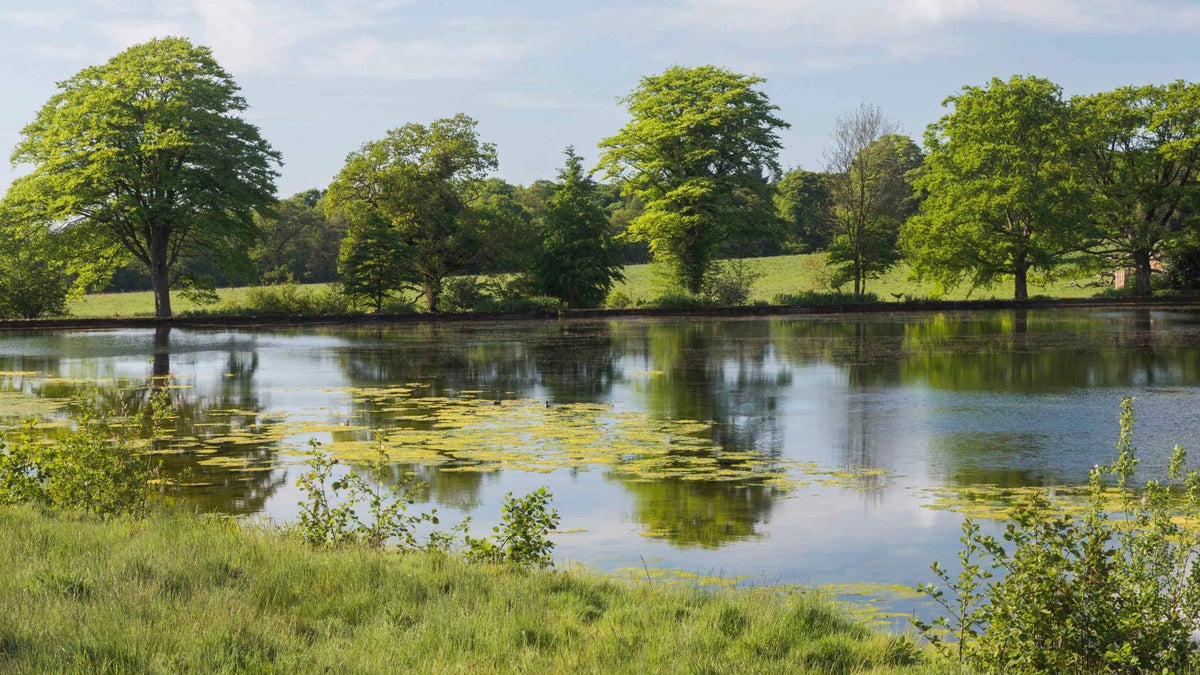 Exploring the estate at Felbrigg | Norfolk | National Trust