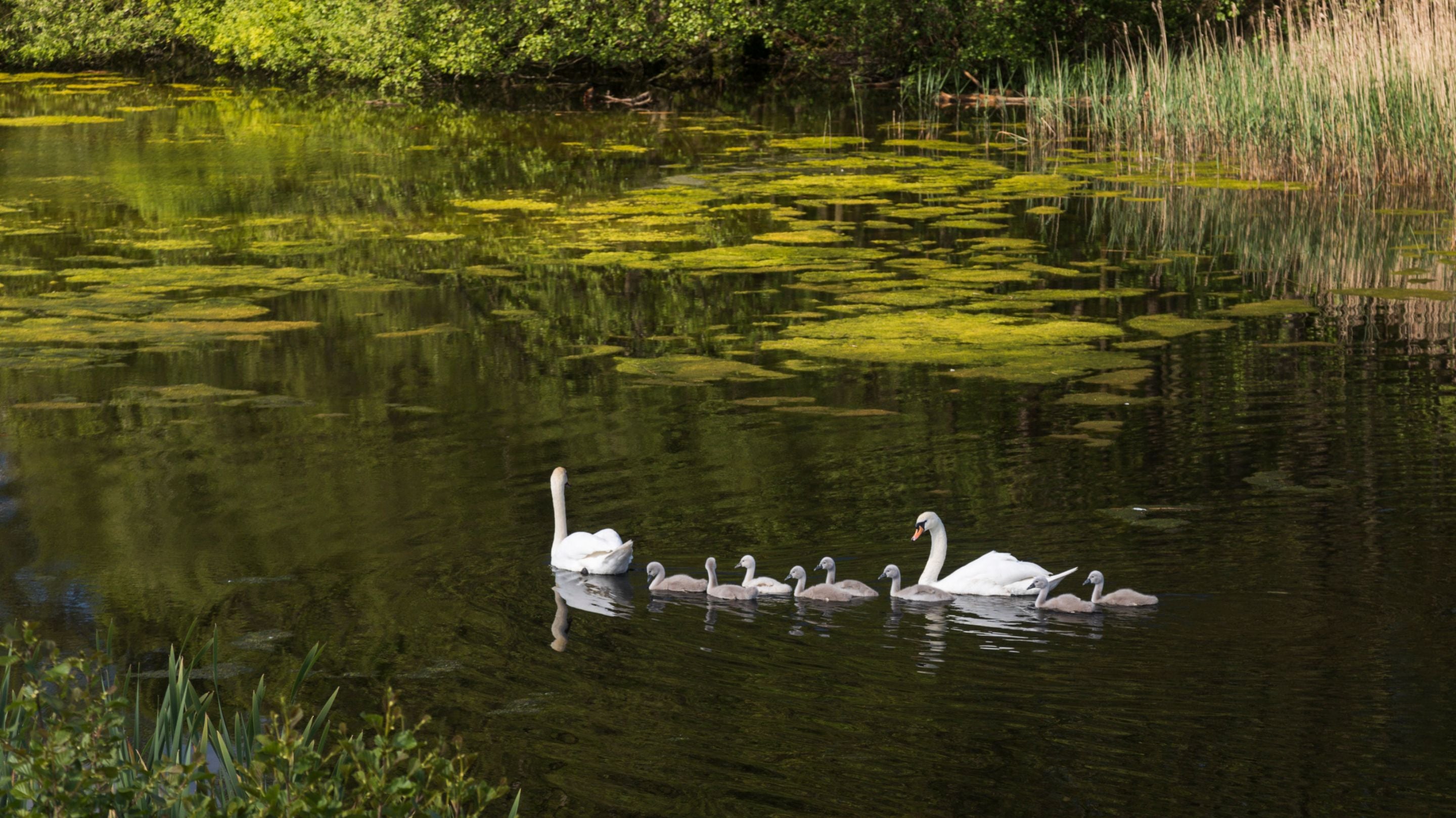 Exploring the estate at Felbrigg | Norfolk | National Trust
