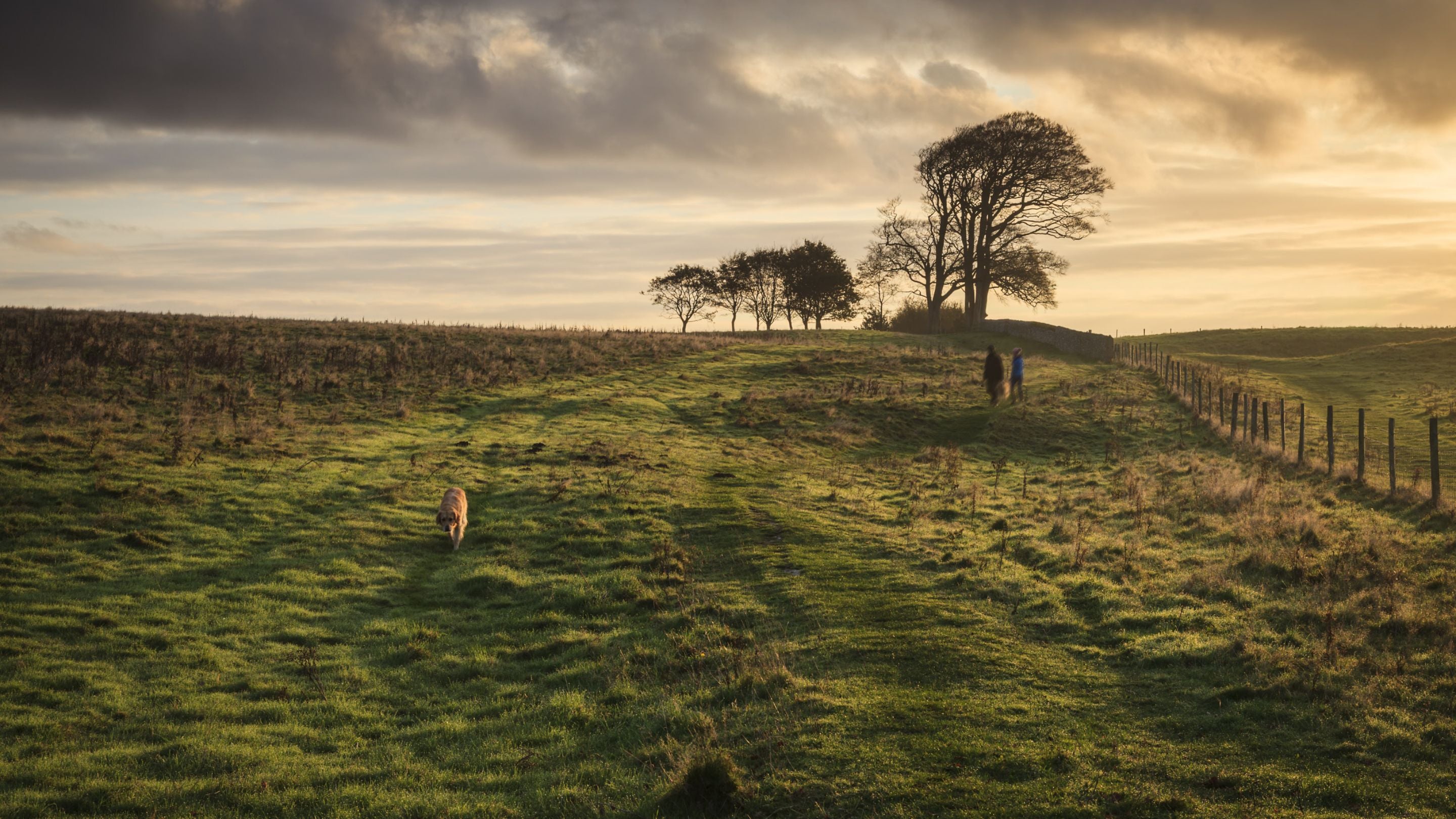 Christmas at Felbrigg | Norfolk | National Trust
