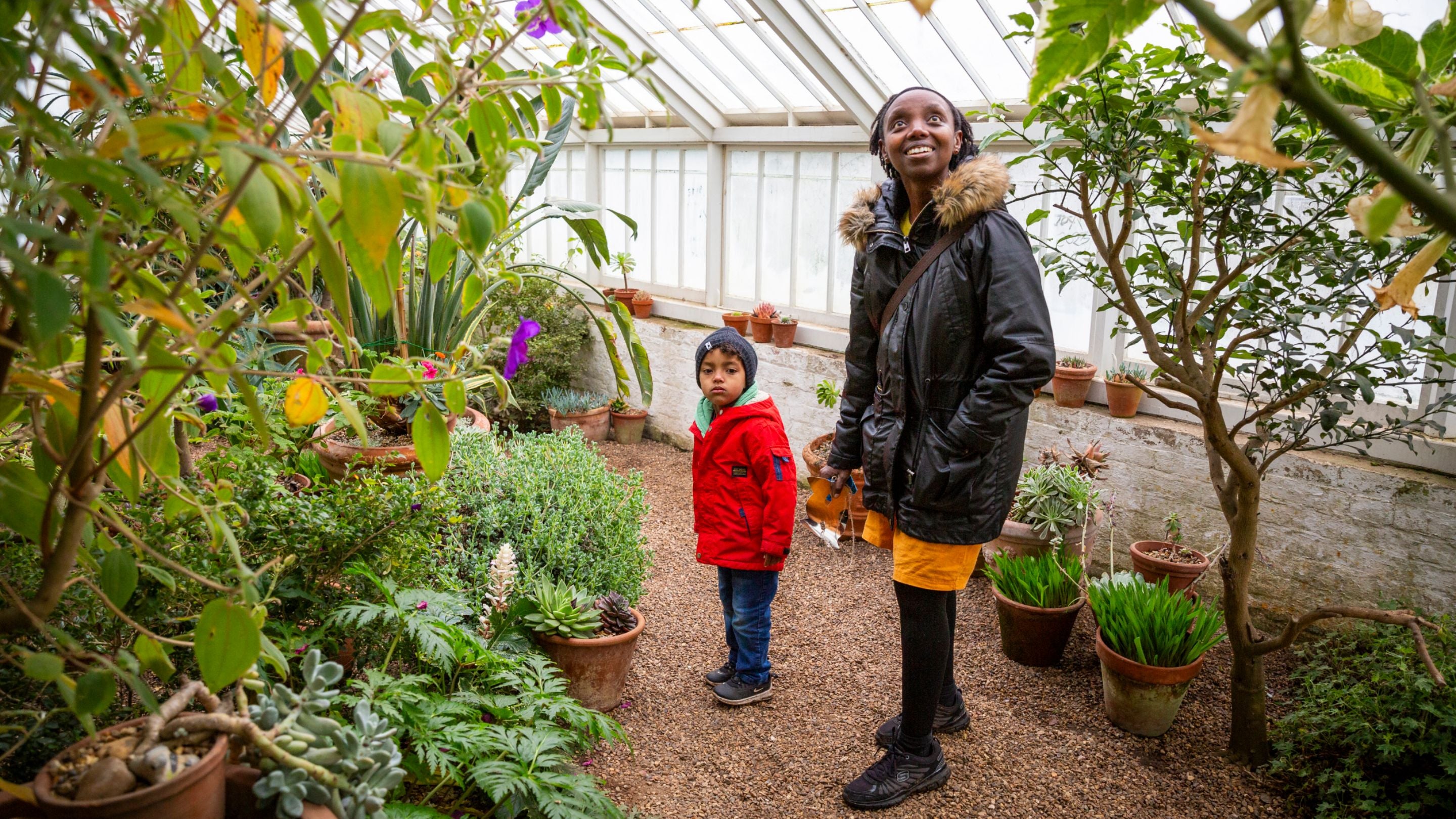 Christmas at Felbrigg | Norfolk | National Trust