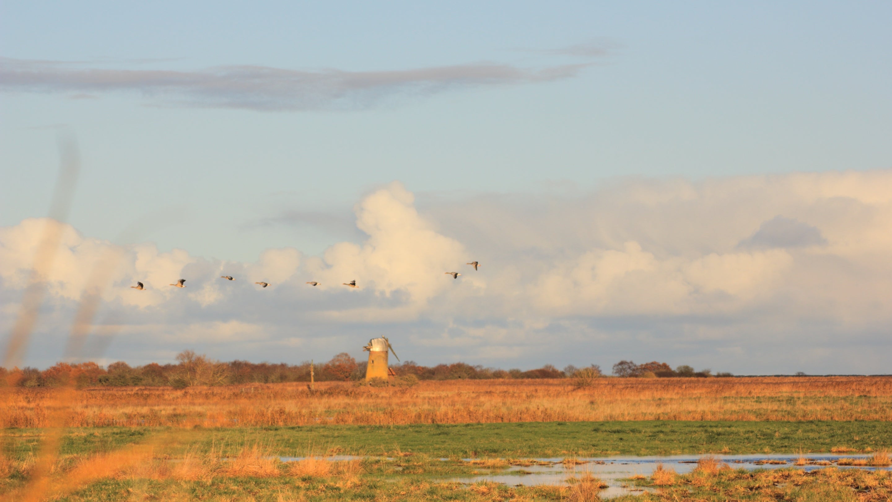 Norfolk | East Anglia | National Trust