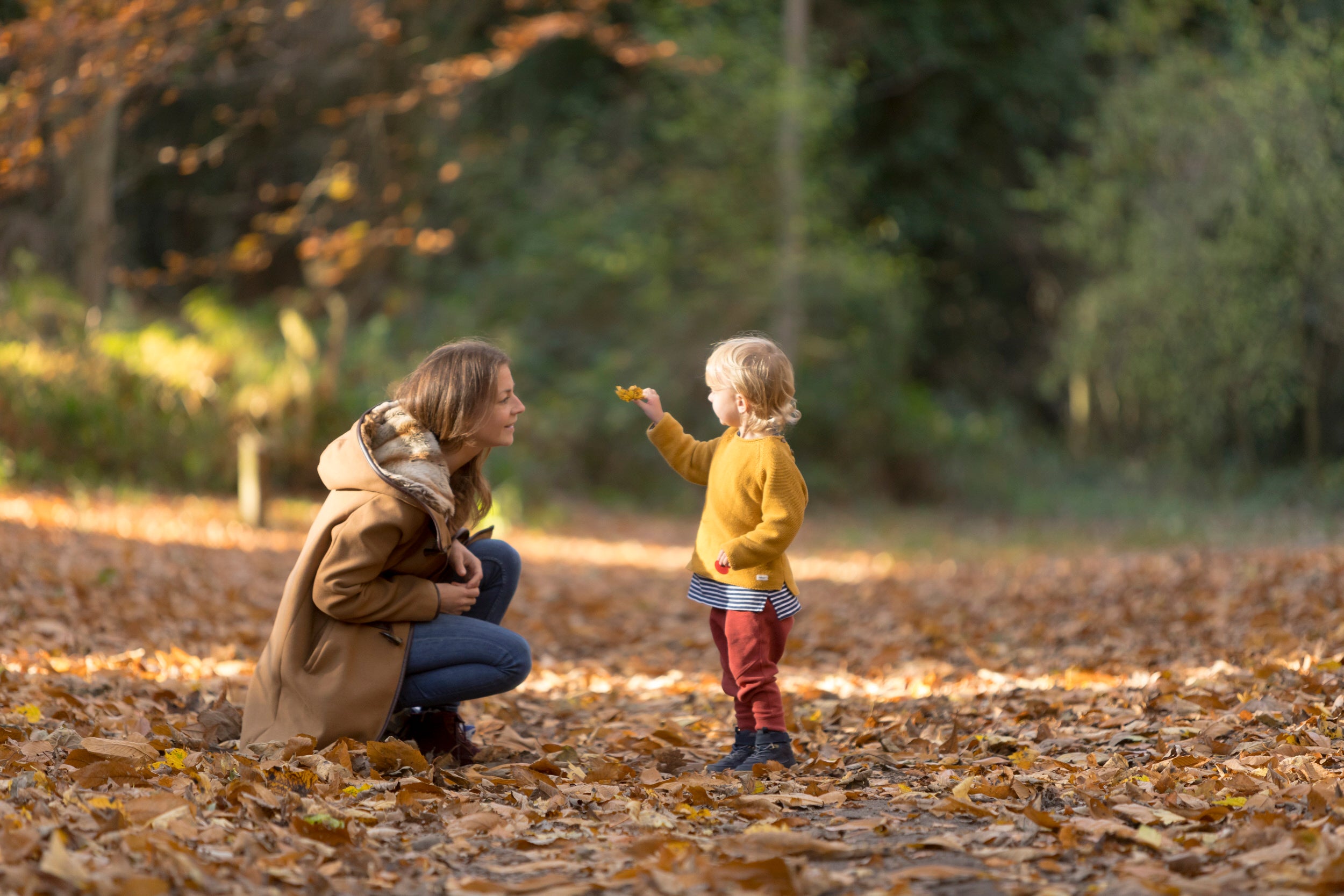 Oxburgh Estate | Norfolk | National Trust