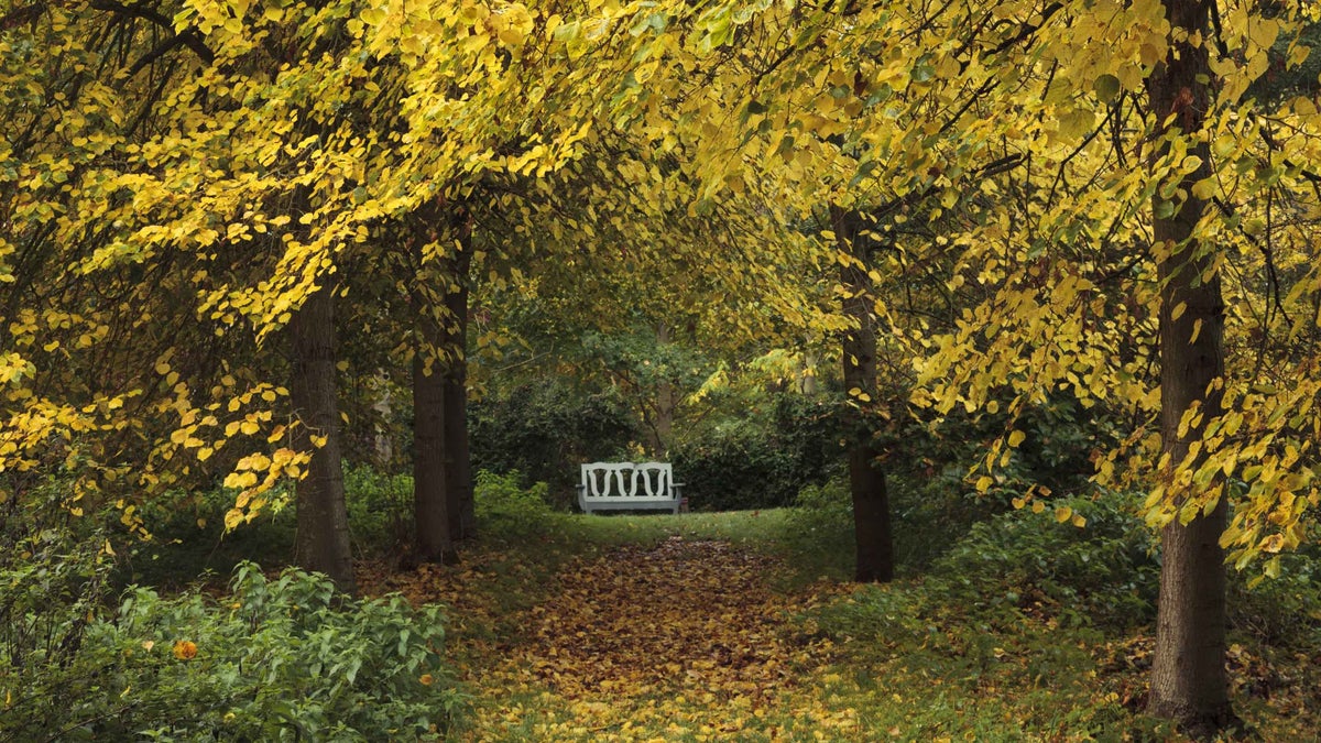 The estate at Oxburgh │ Norfolk | National Trust