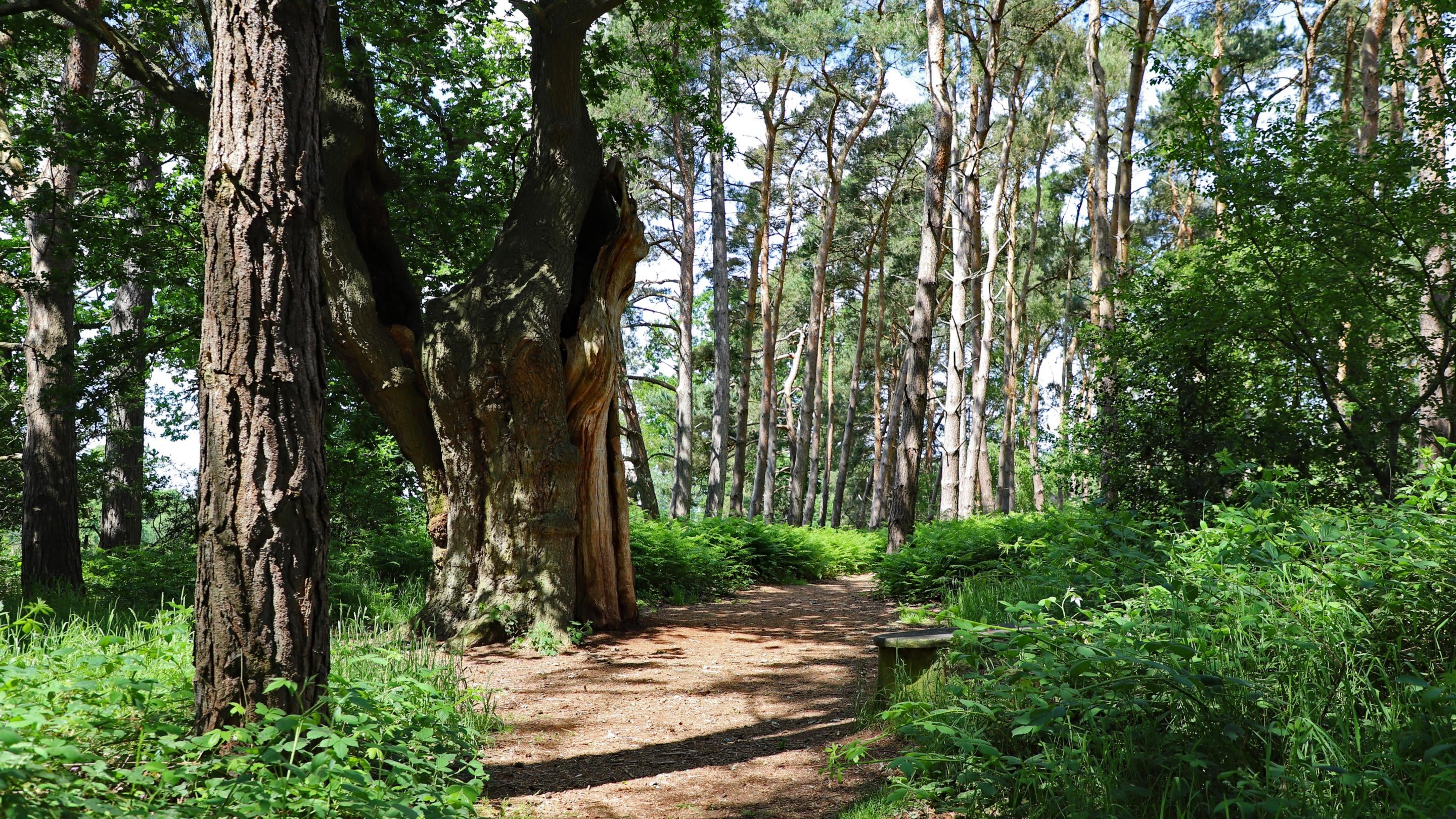 Oxburgh Estate | Norfolk | National Trust