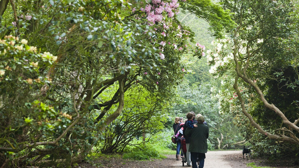 Sheringham Park | Norfolk | National Trust