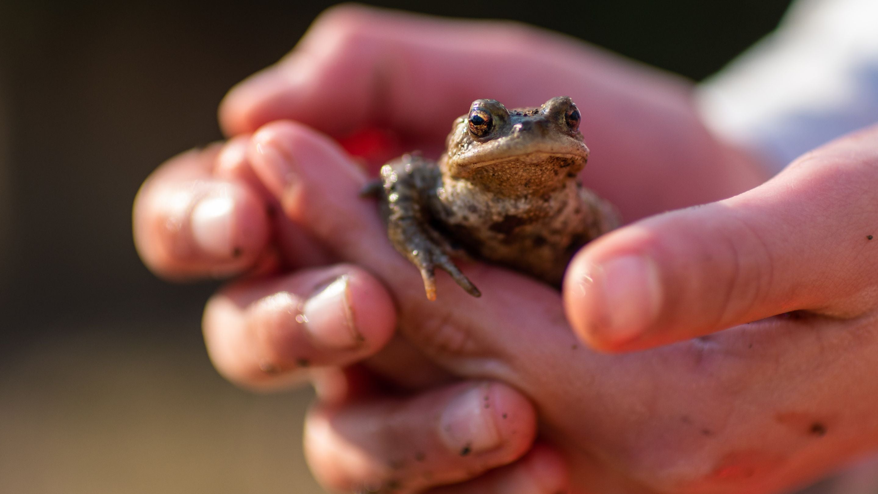 Learning at Sheringham Park │ Norfolk | National Trust