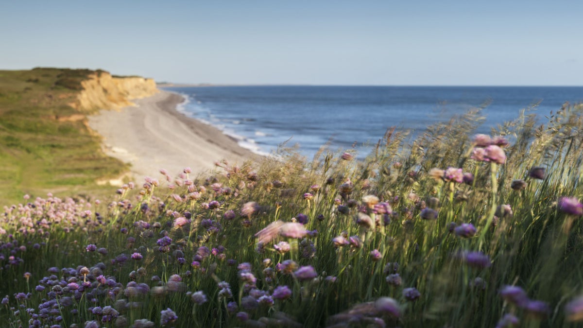 Exploring Sheringham Park | Norfolk | National Trust