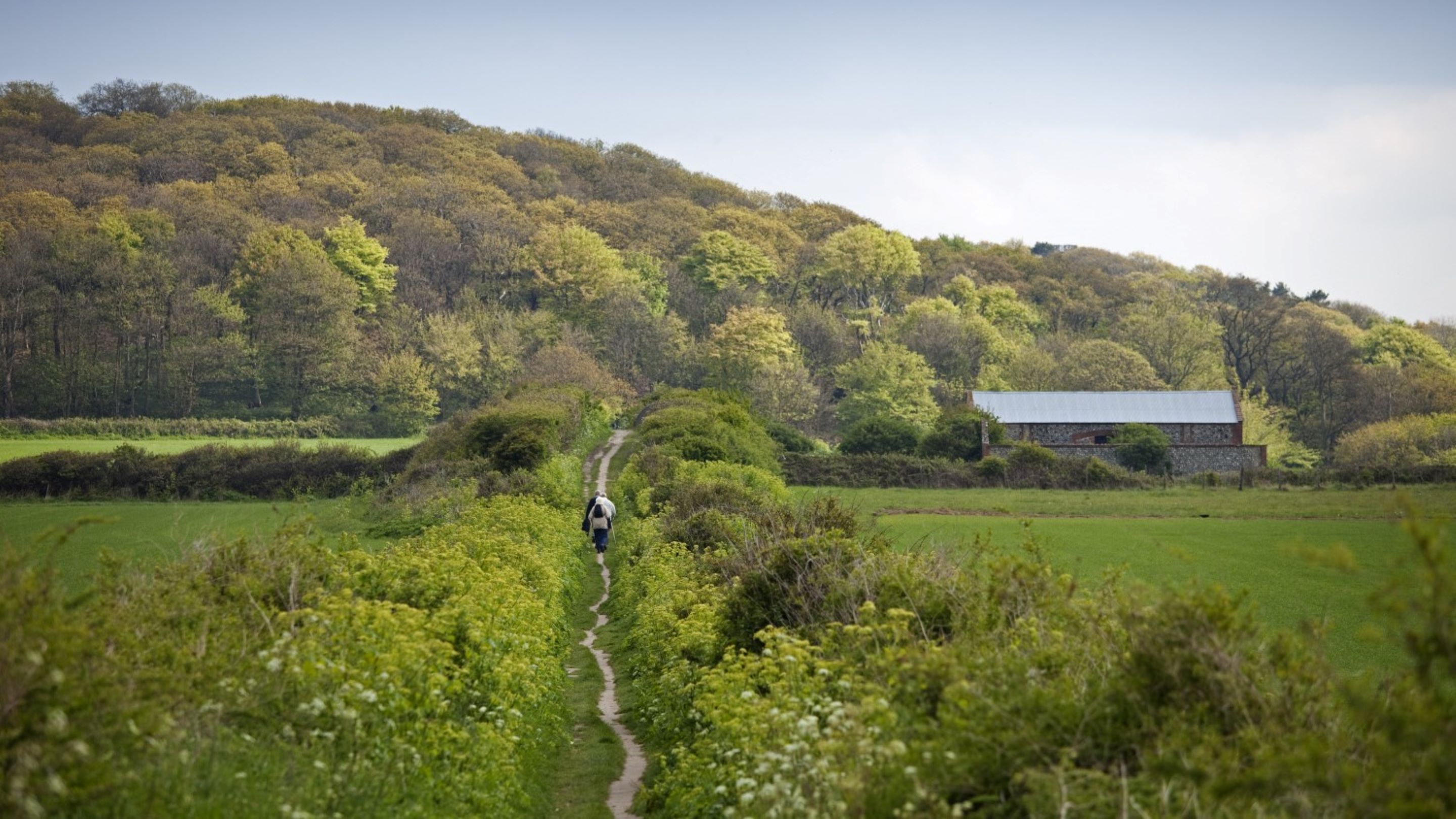 Outdoor activities at Sheringham │ Norfolk | National Trust