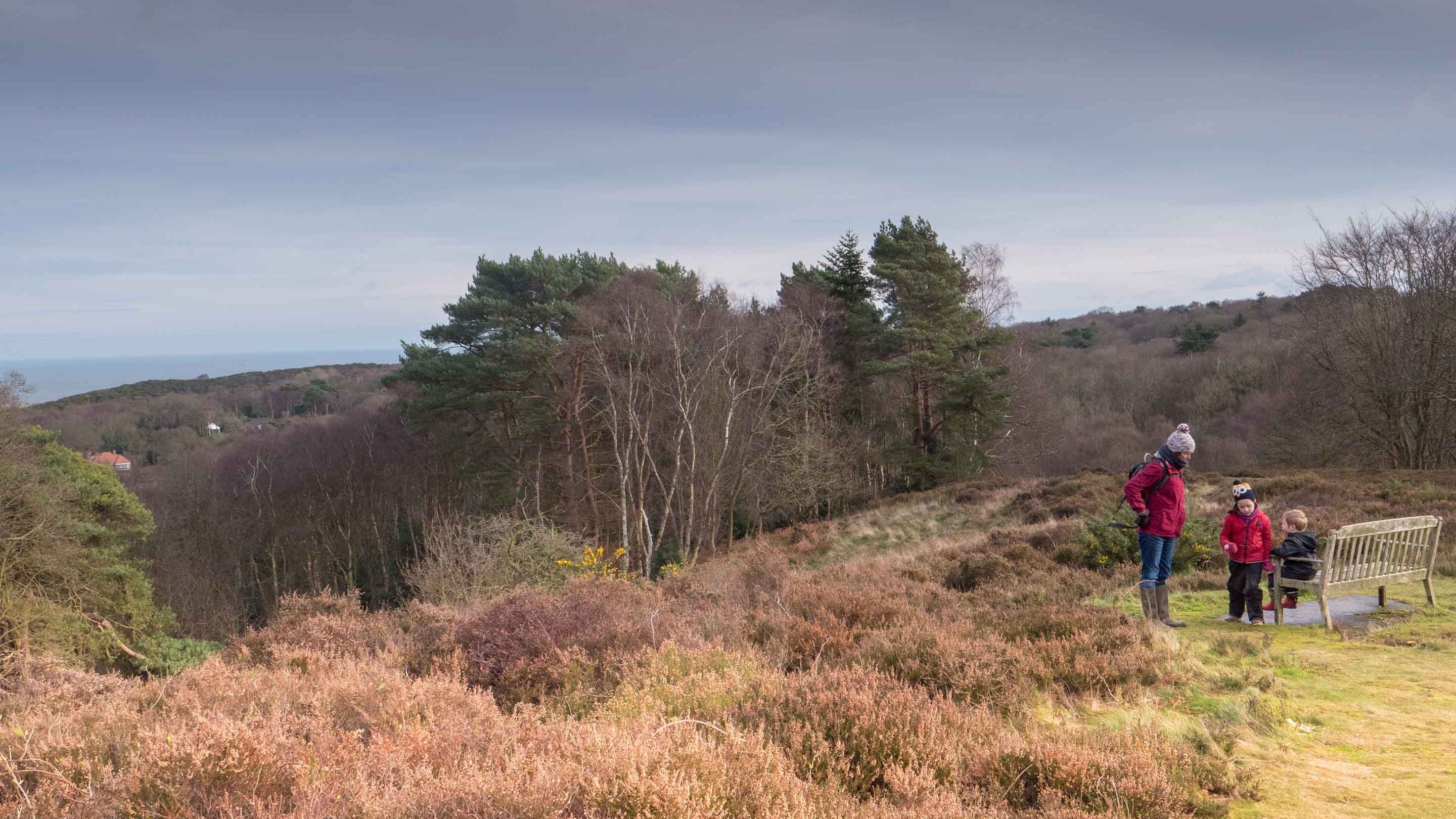 Top walks in Norfolk | National Trust