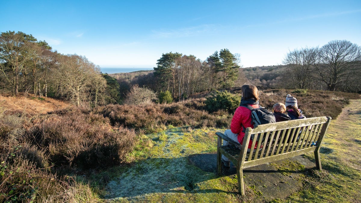 West Runton & Beeston Regis Heath | Norfolk | National Trust