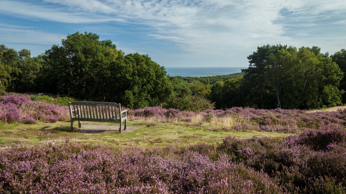 West Runton & Beeston Regis Heath | Norfolk | National Trust