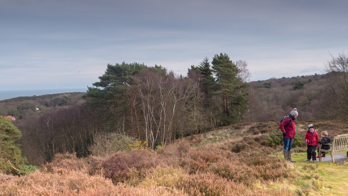 West Runton & Beeston Regis Heath | Norfolk | National Trust