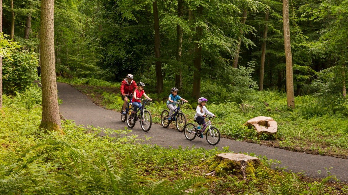 Wallington | Northumberland | National Trust