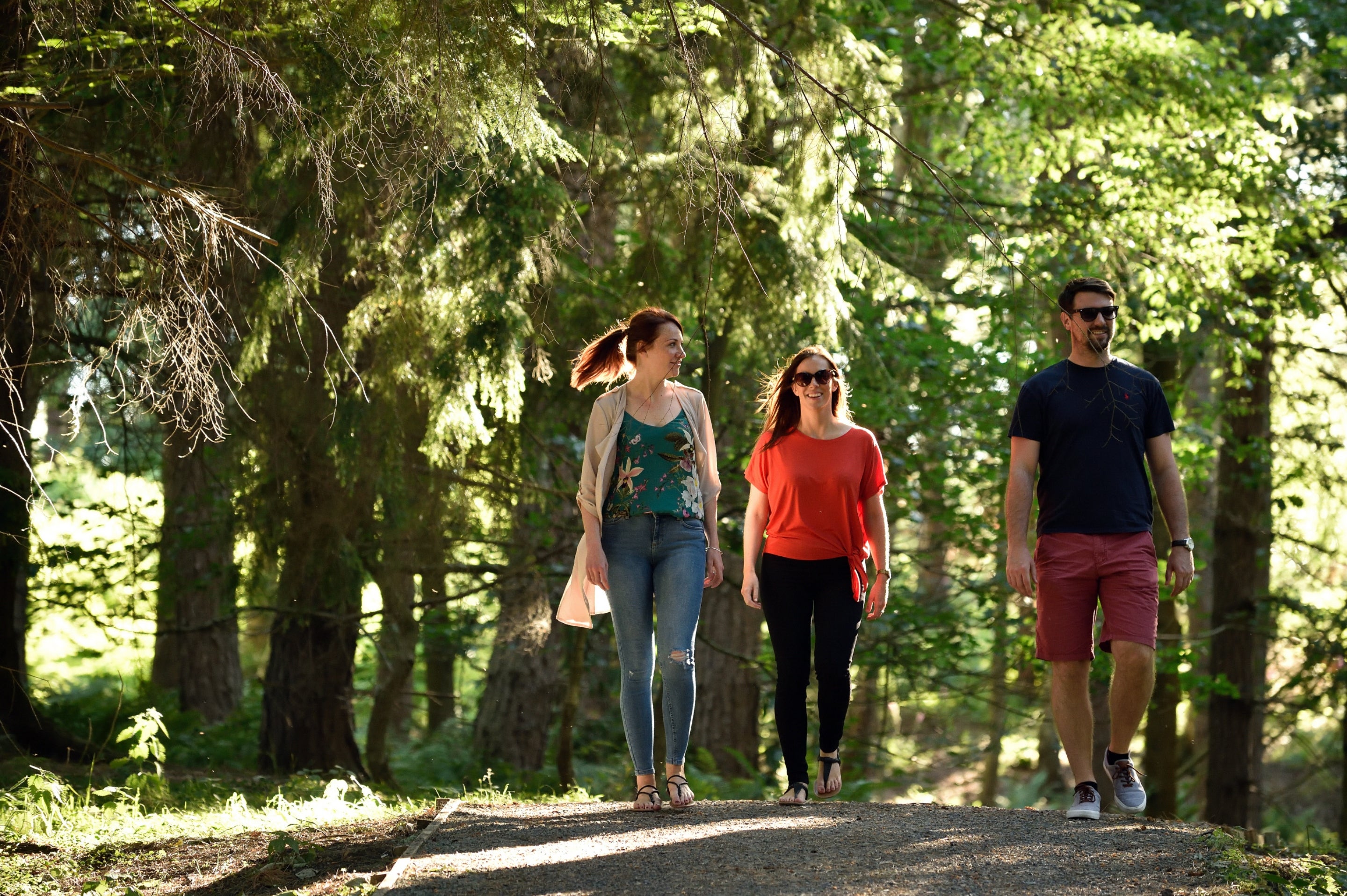 Exploring Gibside | Tyne & Wear | National Trust